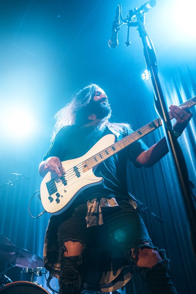 Tadpole - New Zealand Rock Band