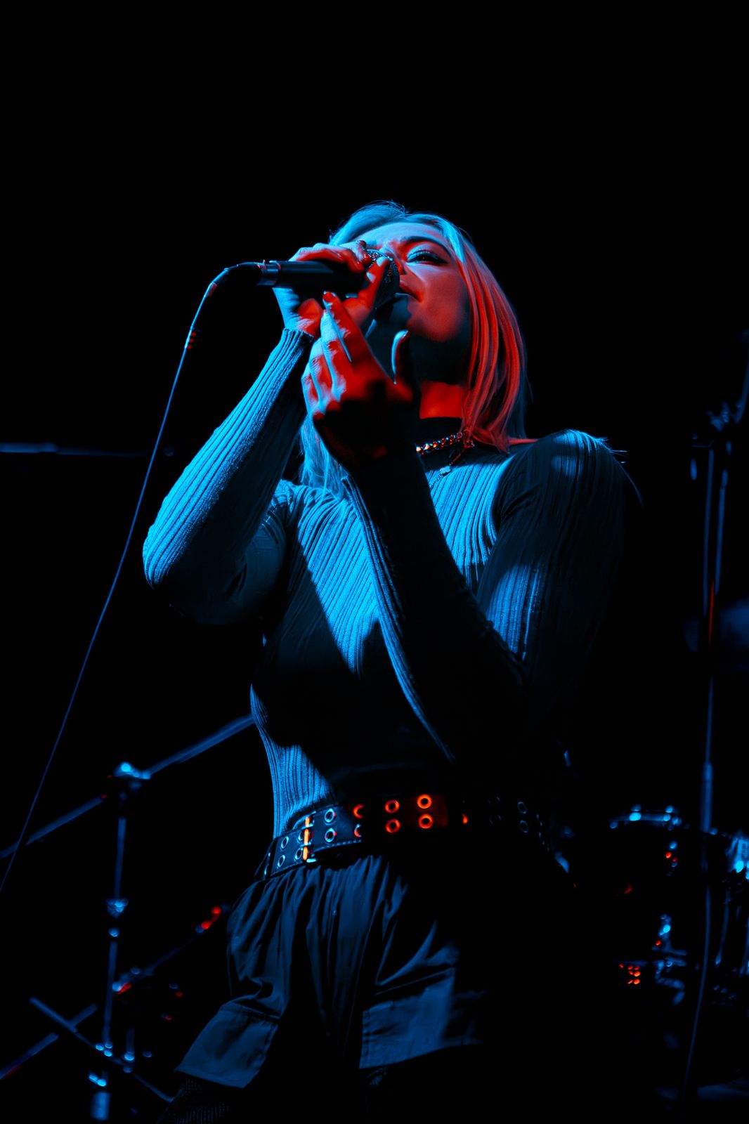 TADPOLE | New Zealand Rock Band