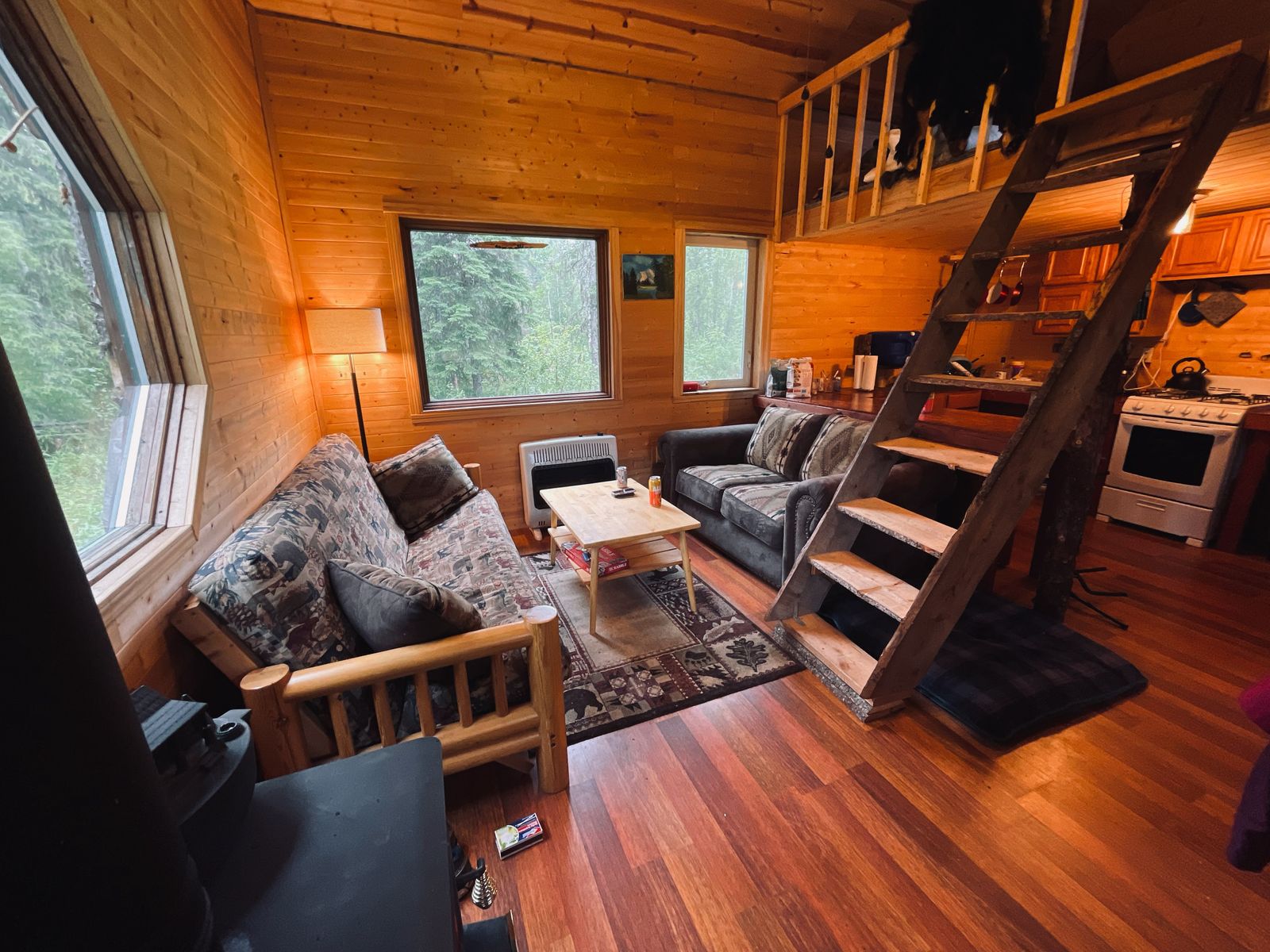 Alaska Cabin Adventures - Photos