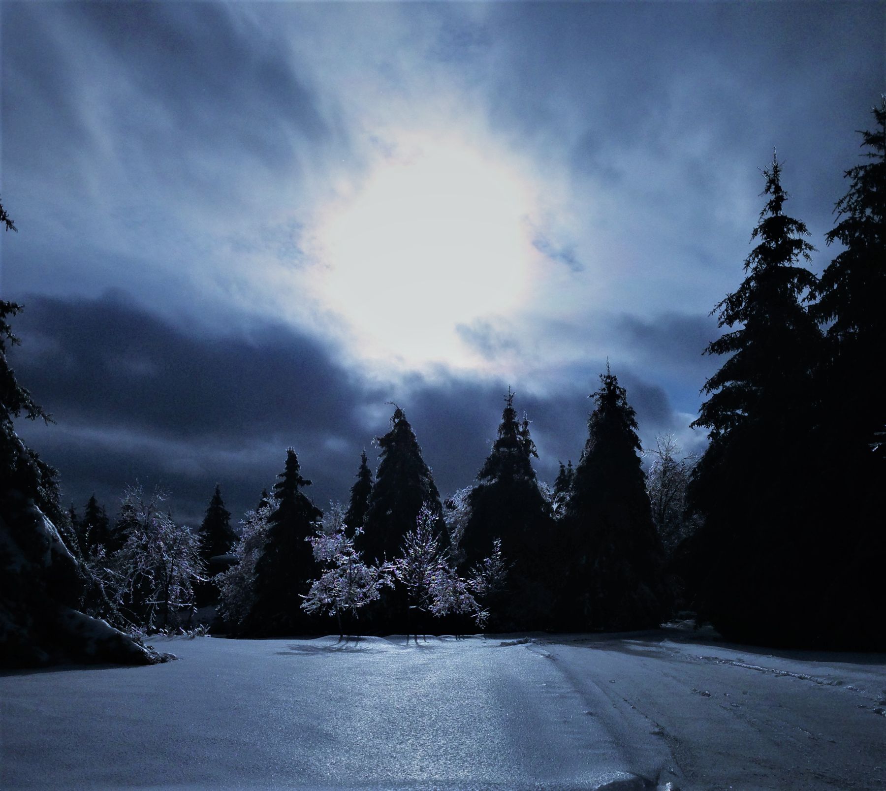 OMR MUSIC PRODUCTION - TITLES - T