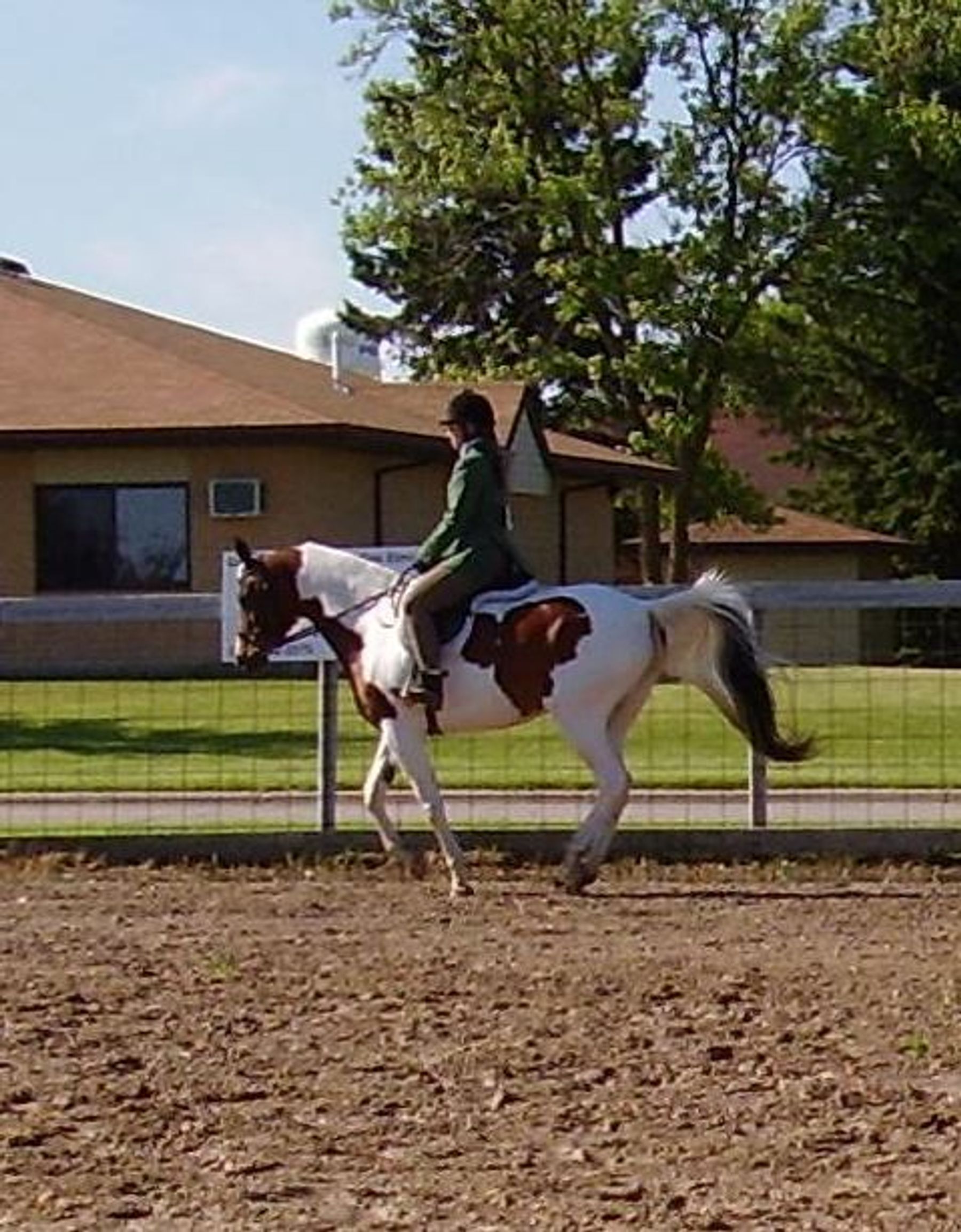 Pintabian Horse Registry Inc