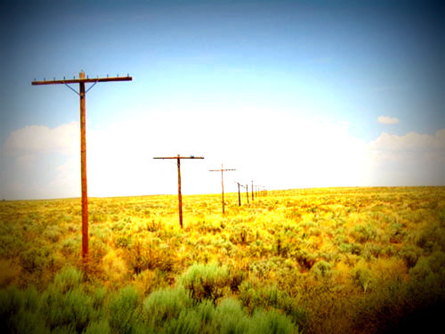 Buck Storm - Contact