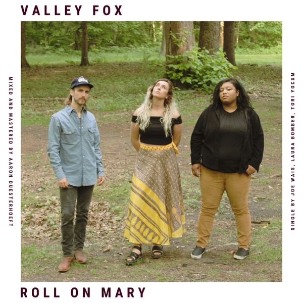 Valley Fox