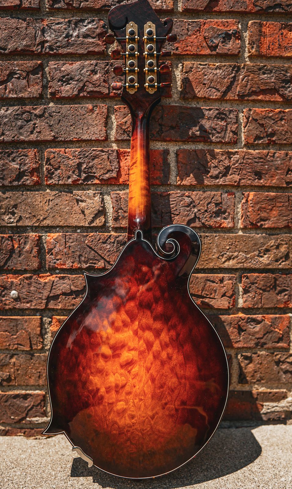 Rose Mandolins - Photos