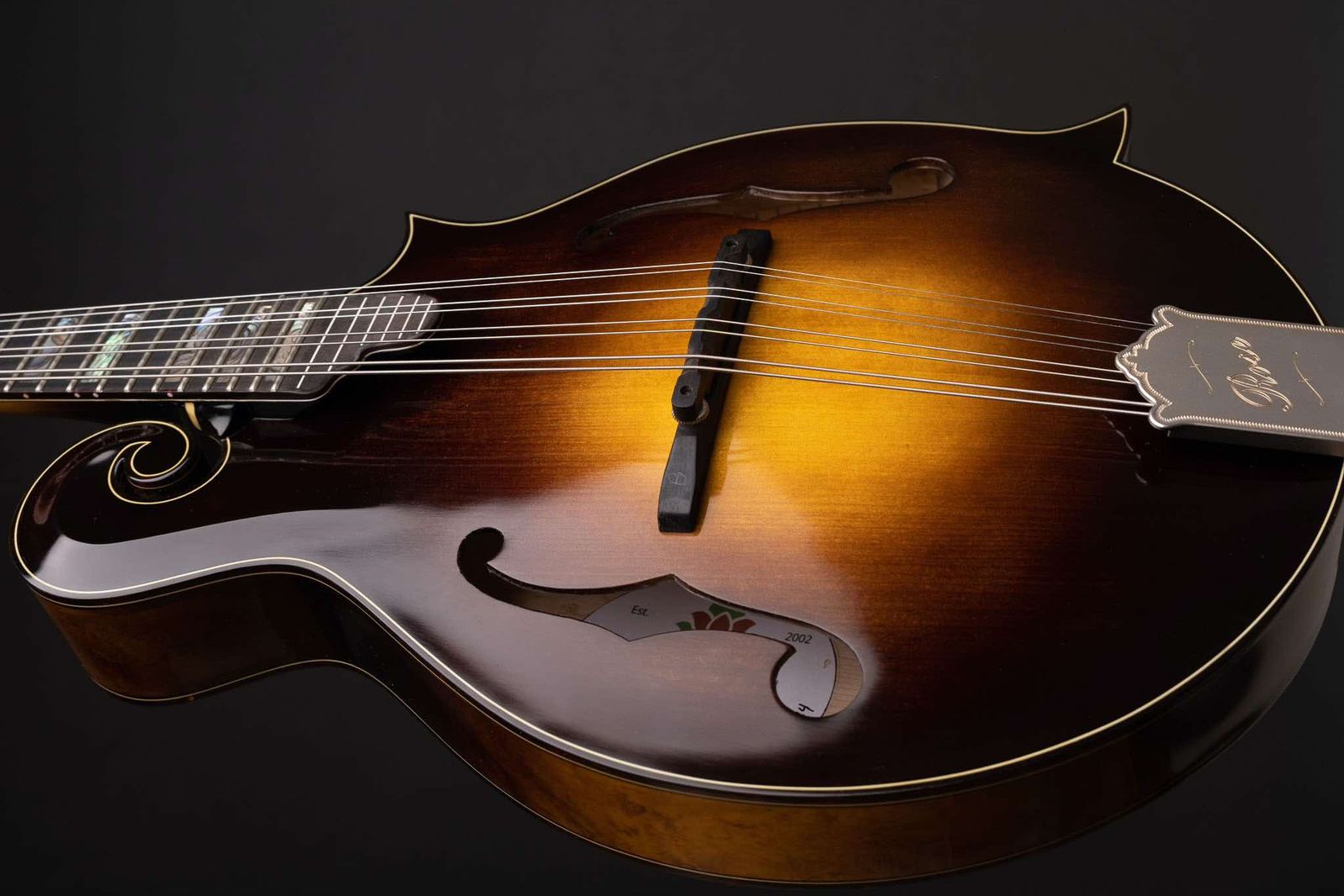 Rose Mandolins - Photos