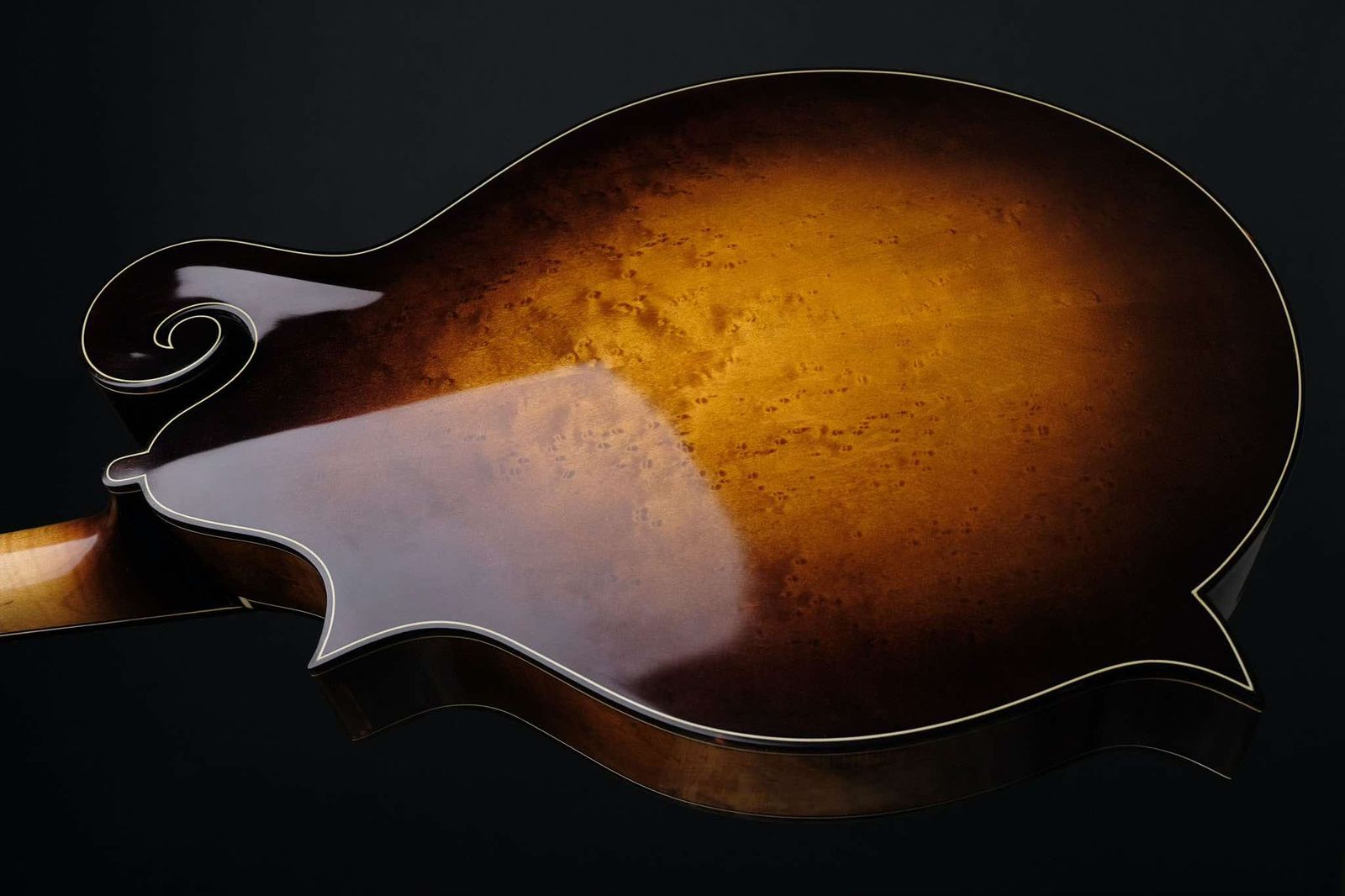 Rose Mandolins - Photos
