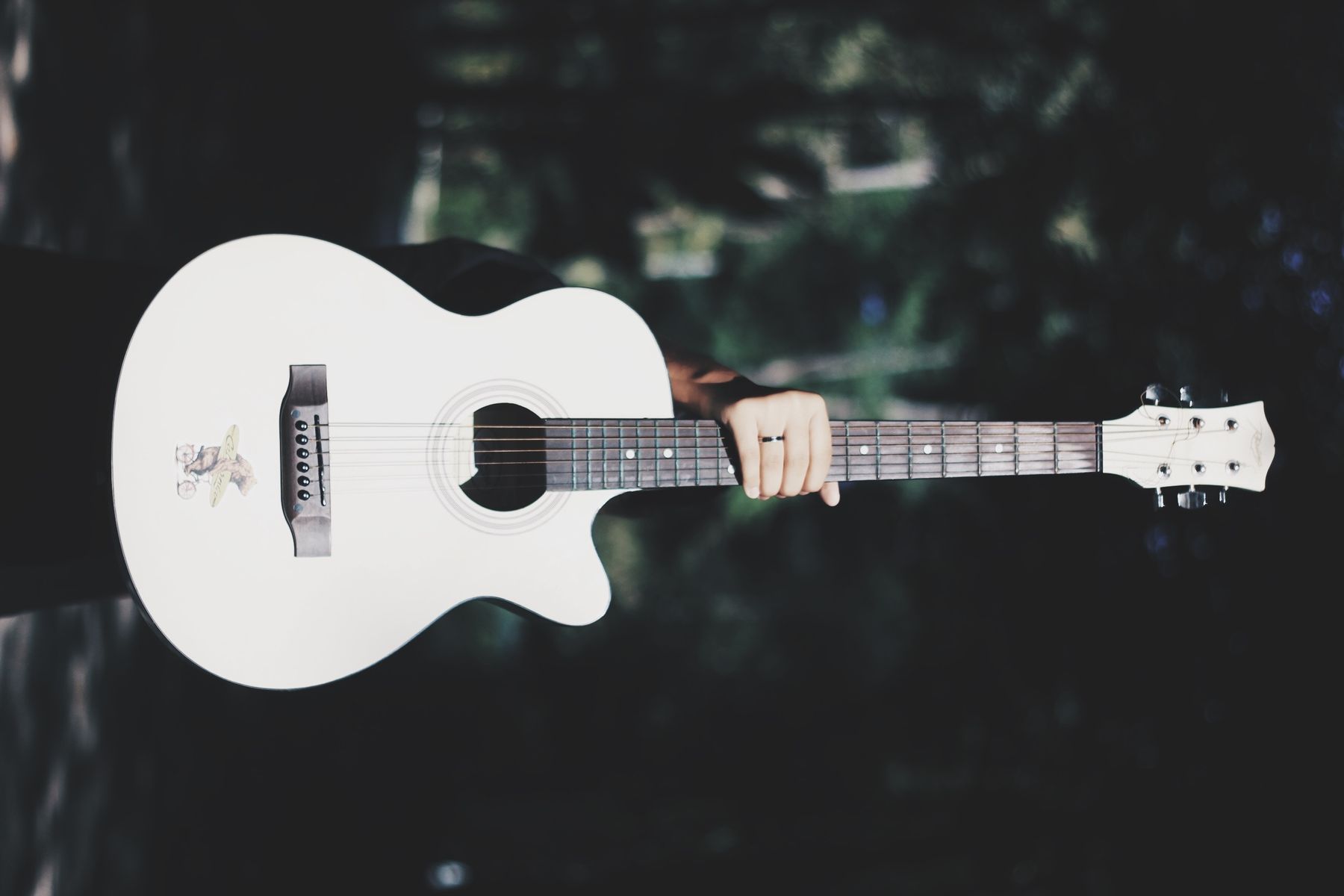 Raphaël Butler - Contact