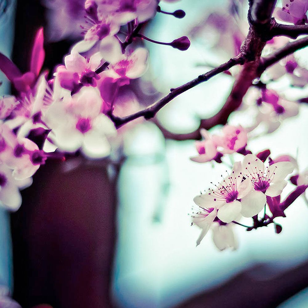 Best Life Therapy - Denver