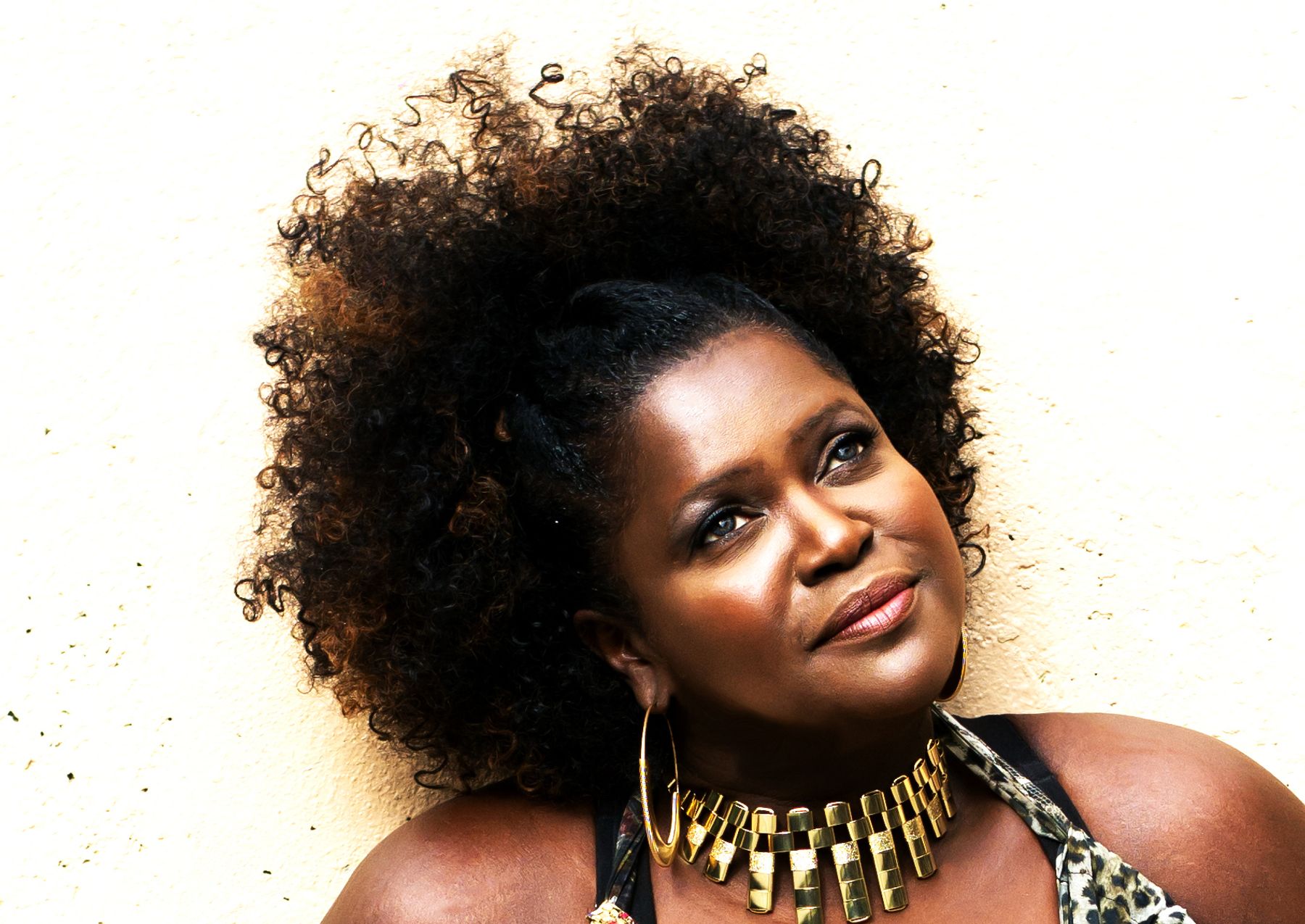 Lisa Hunt's Forever Soul - Bio