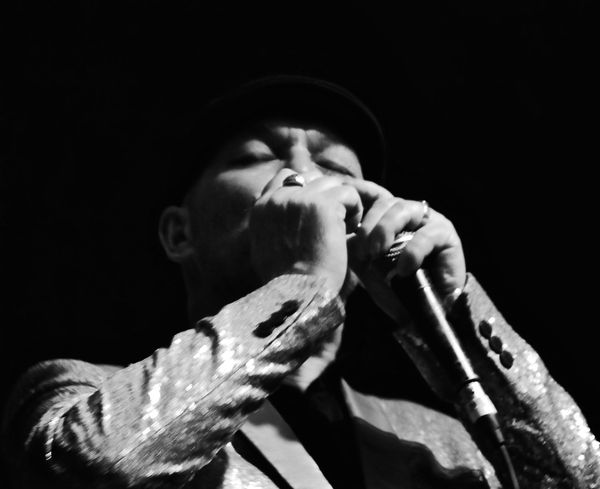 ian Collard - Shows