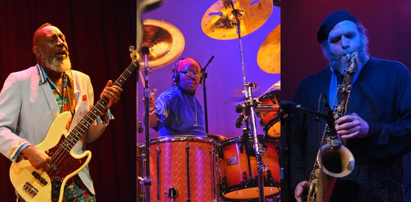 Elliott Levin - The Philadelphia Phenomenon