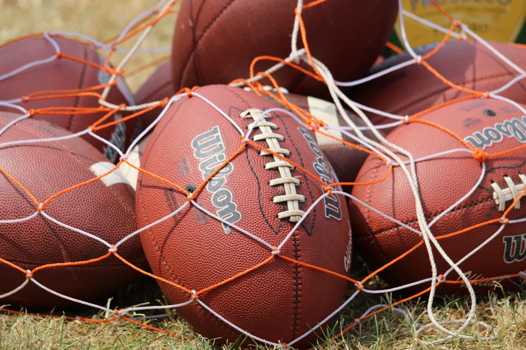 Nottingham Bears - Flag American Football Team