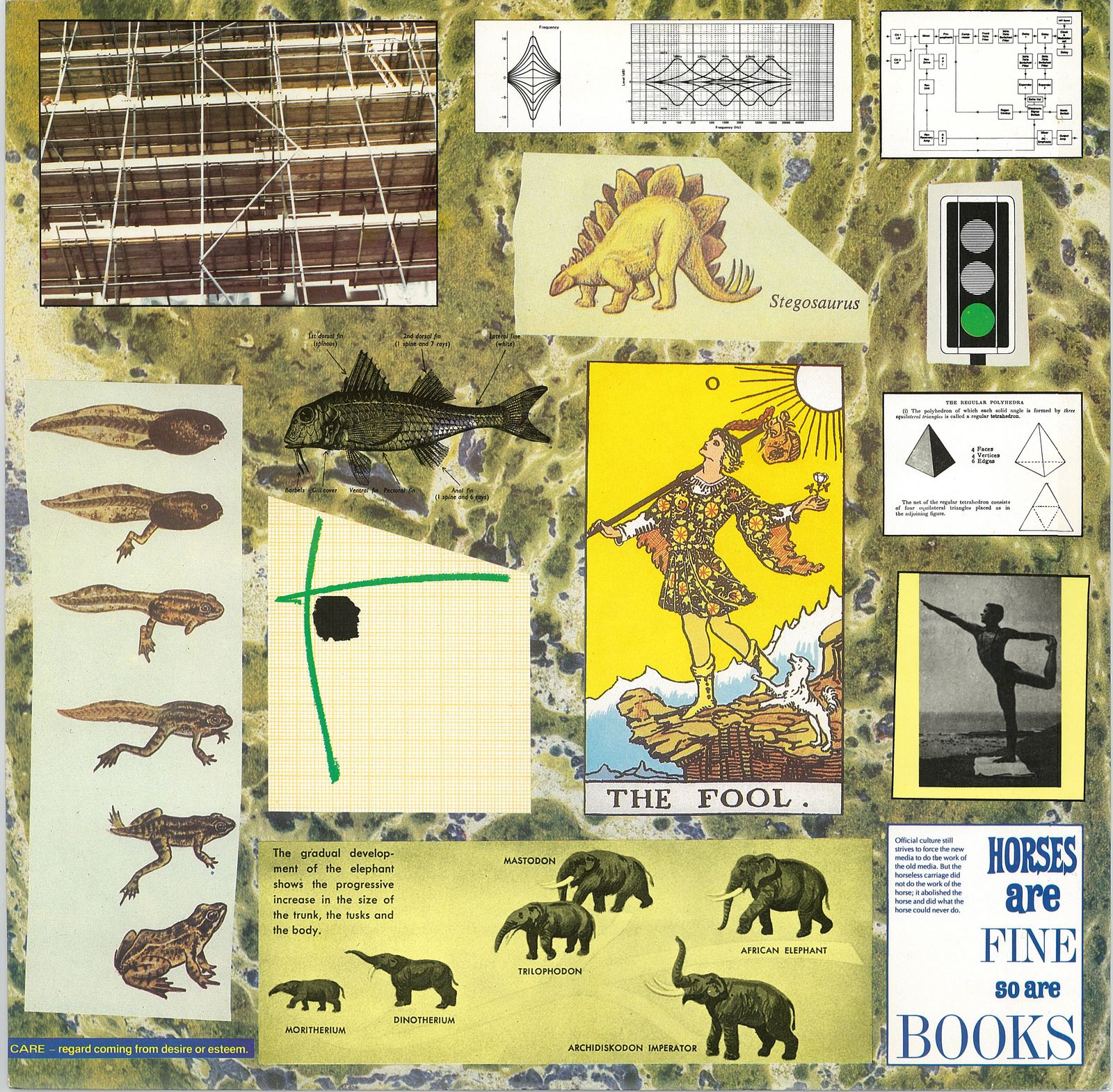 shriekback - PHOTOS
