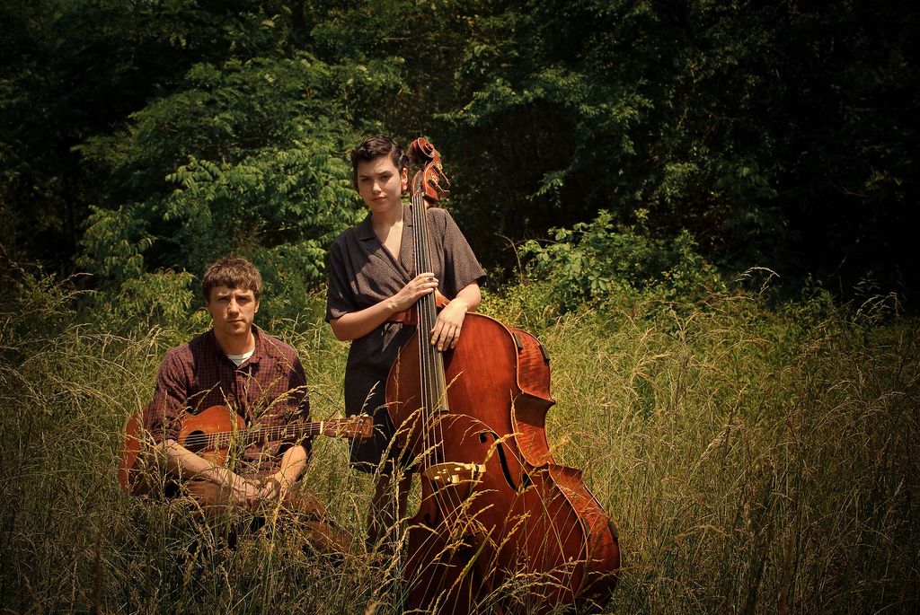 Cicada Rhythm - Photos