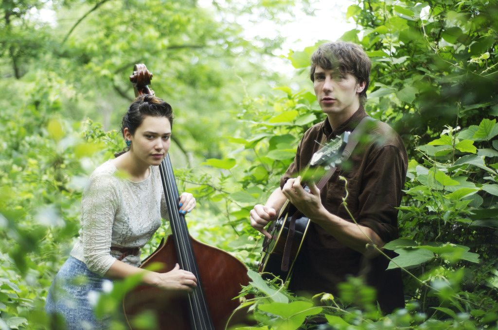 Cicada Rhythm - Photos