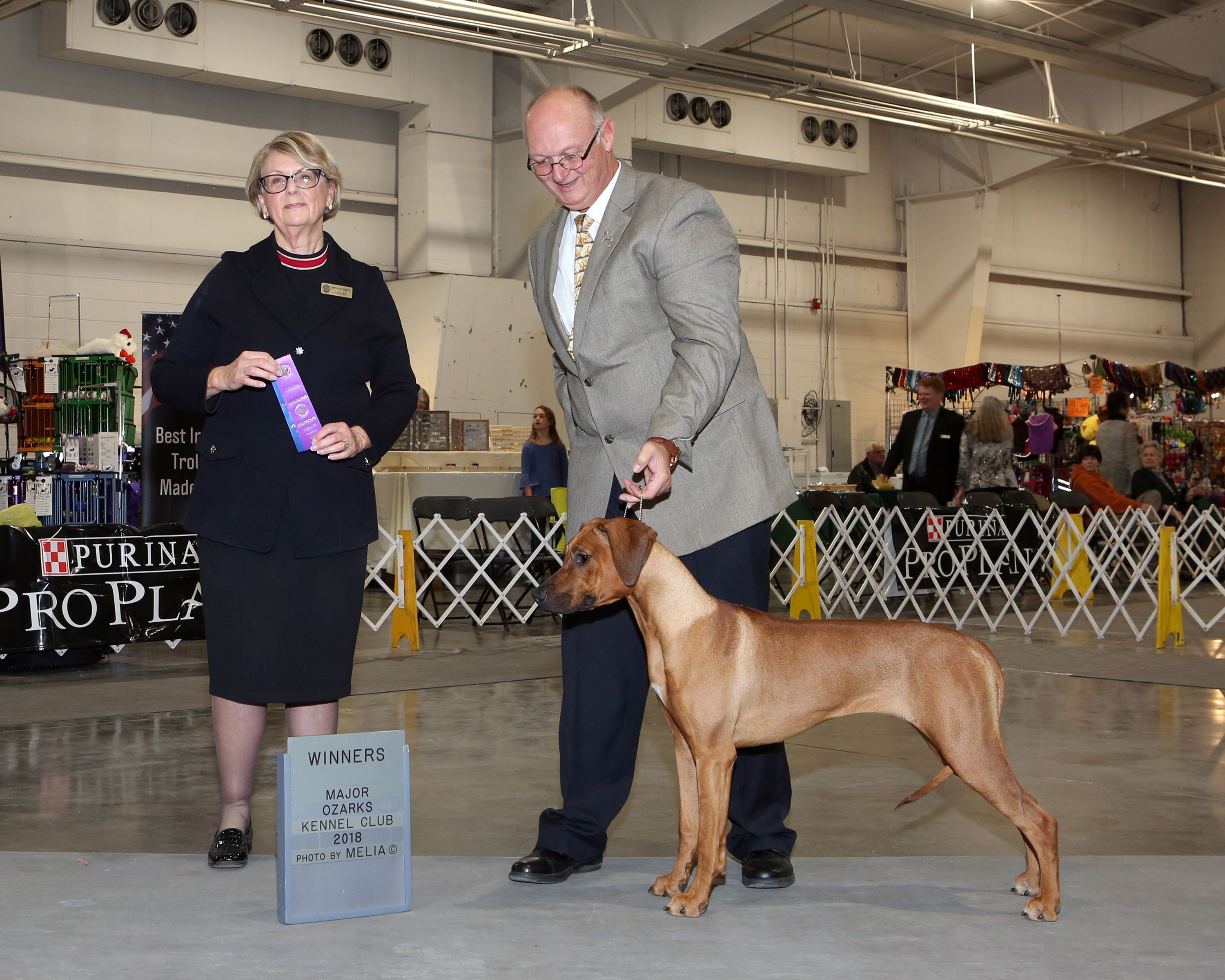 Crossed Pines Ridgebacks
