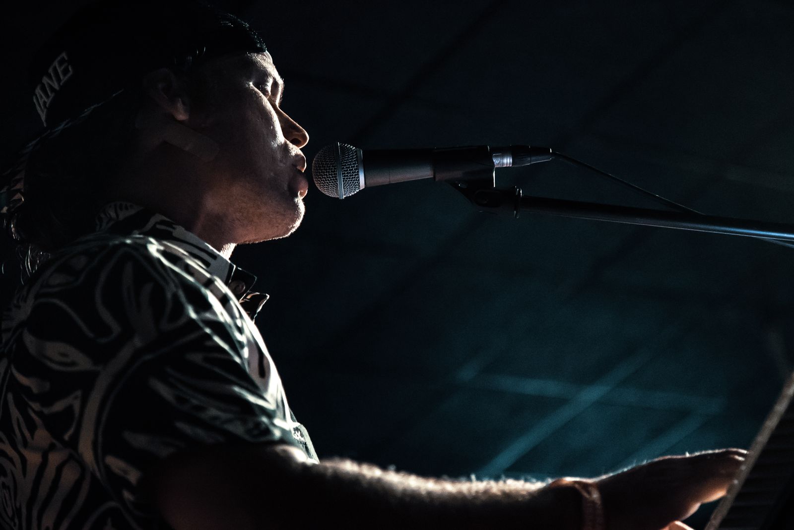 The Vitals 808 - Photos