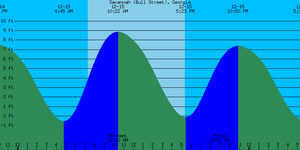 Tybee Surf Lessons - Tybee Surf Report