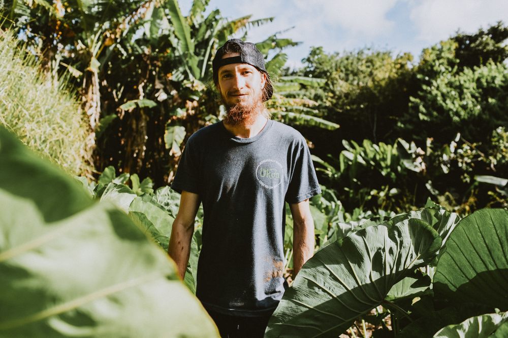 Pat Simmons Jr. - Bio