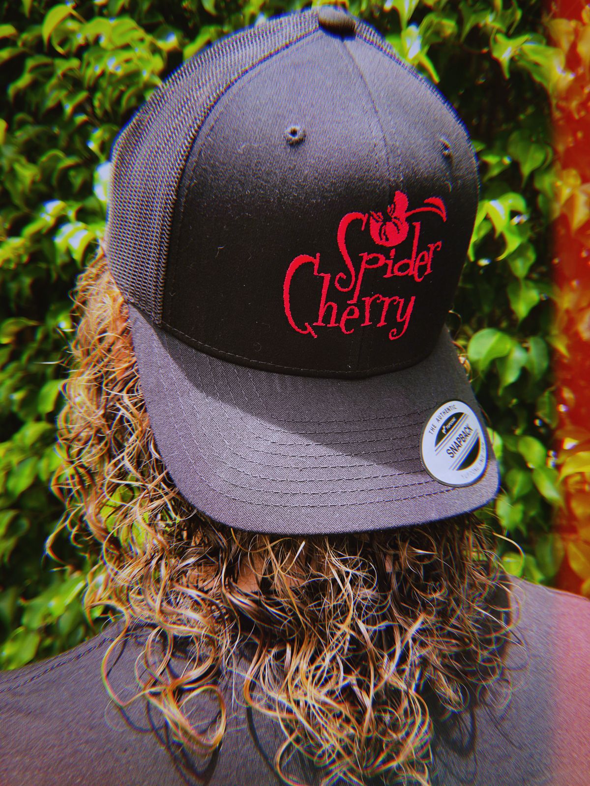 Spider Cherry