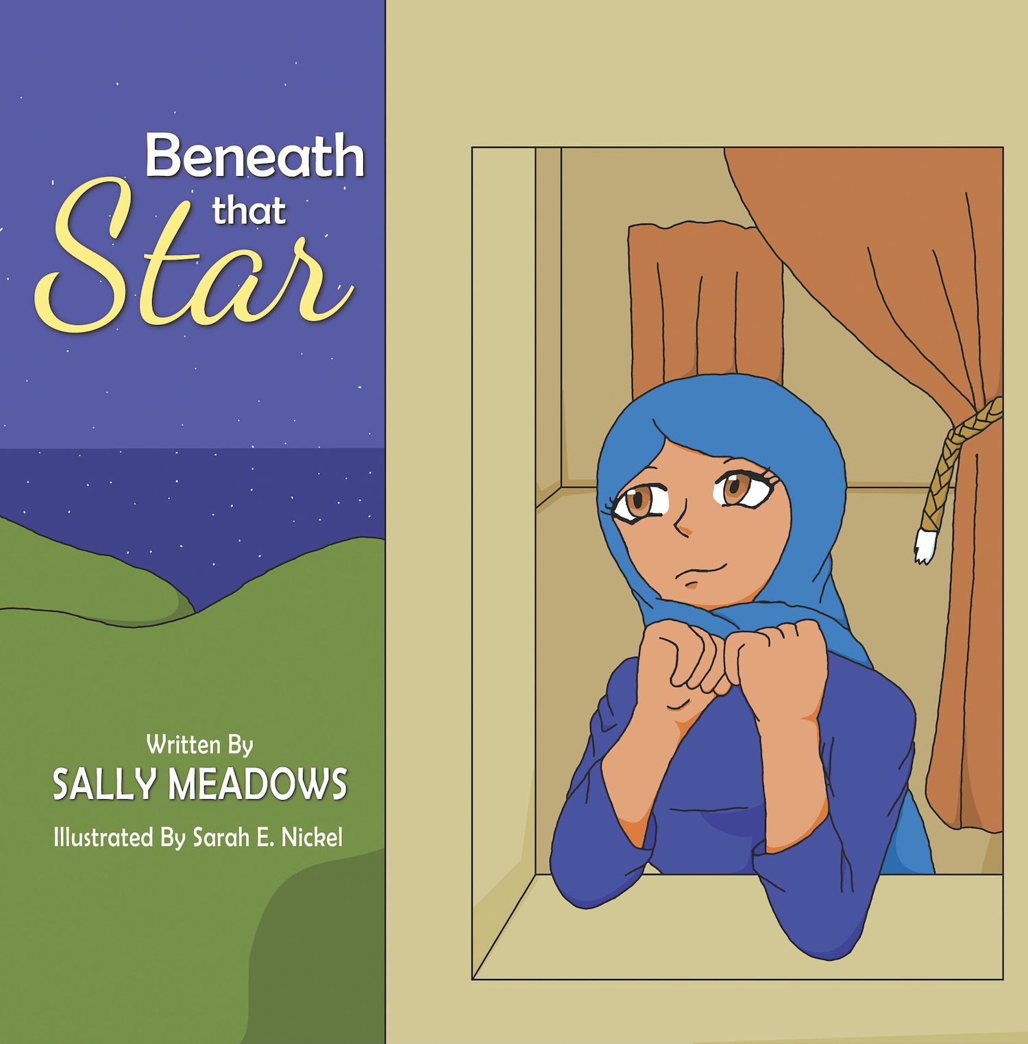 SALLY MEADOWS: SINGER/SONGWRITER & AUTHOR