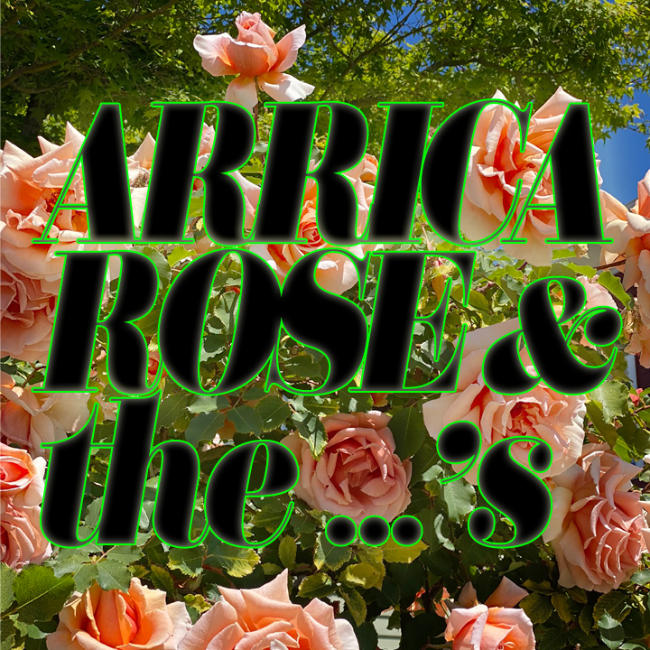 Arrica Rose & the ...'s - Press