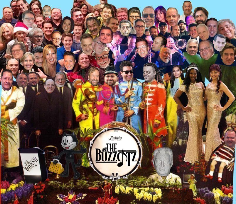 The Buzzcatz Orlando Wedding Band