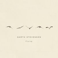 Garth Stevenson - Store - Flying