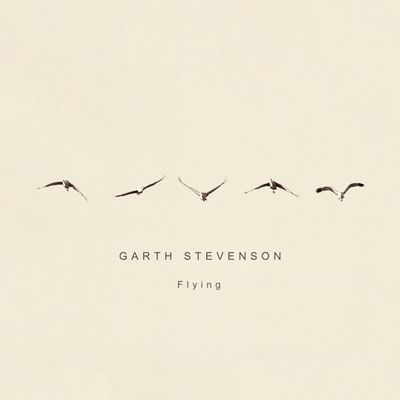 Garth Stevenson - Store - Flying