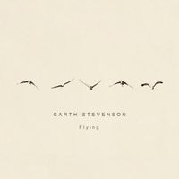 Garth Stevenson - Store - Flying
