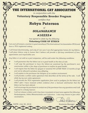 Bengal cat Breeder, Northern California