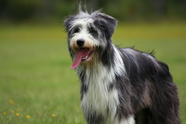 Power Tripp - Bonkers