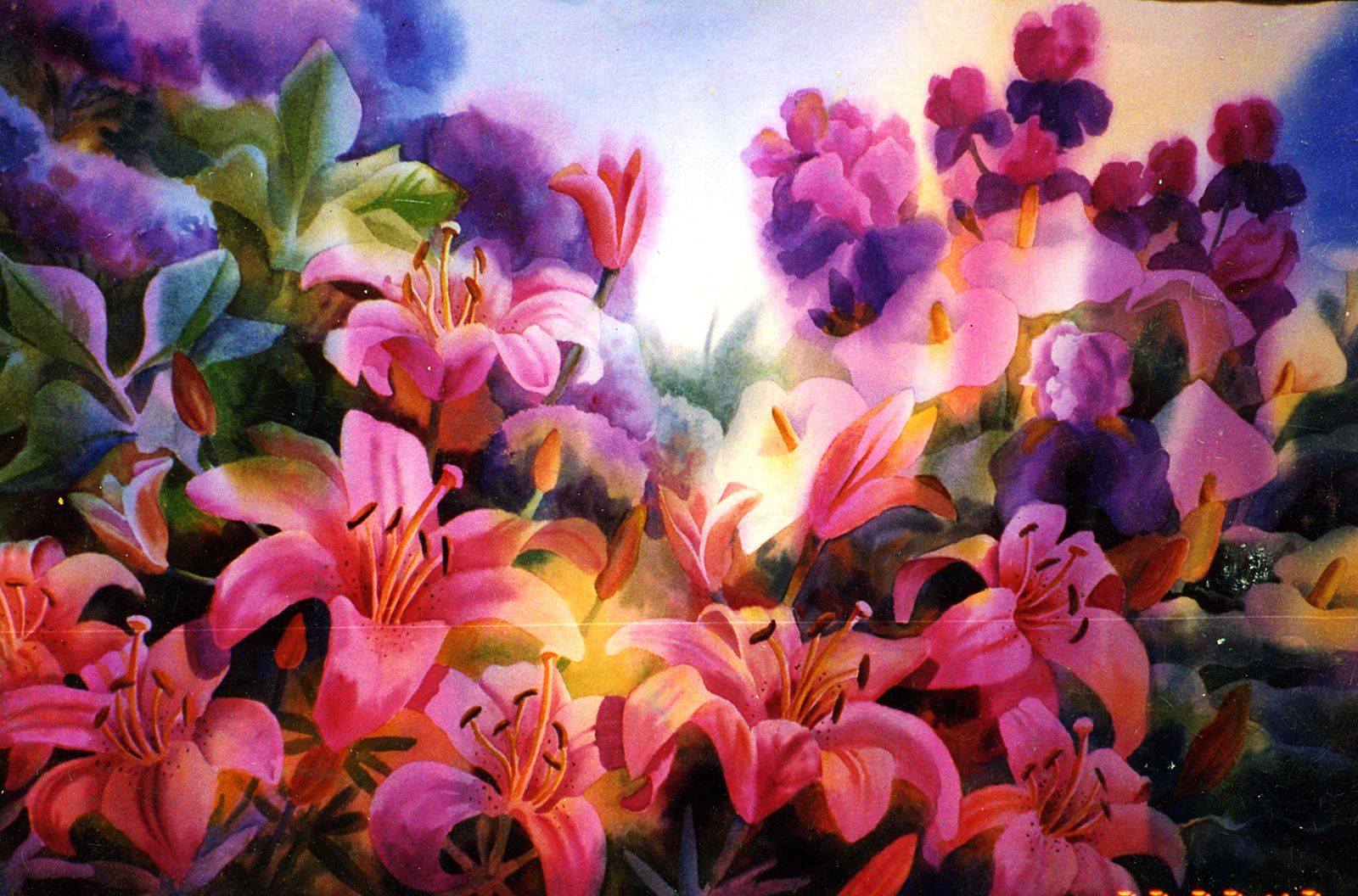 Susan Spears Art - Watercolors