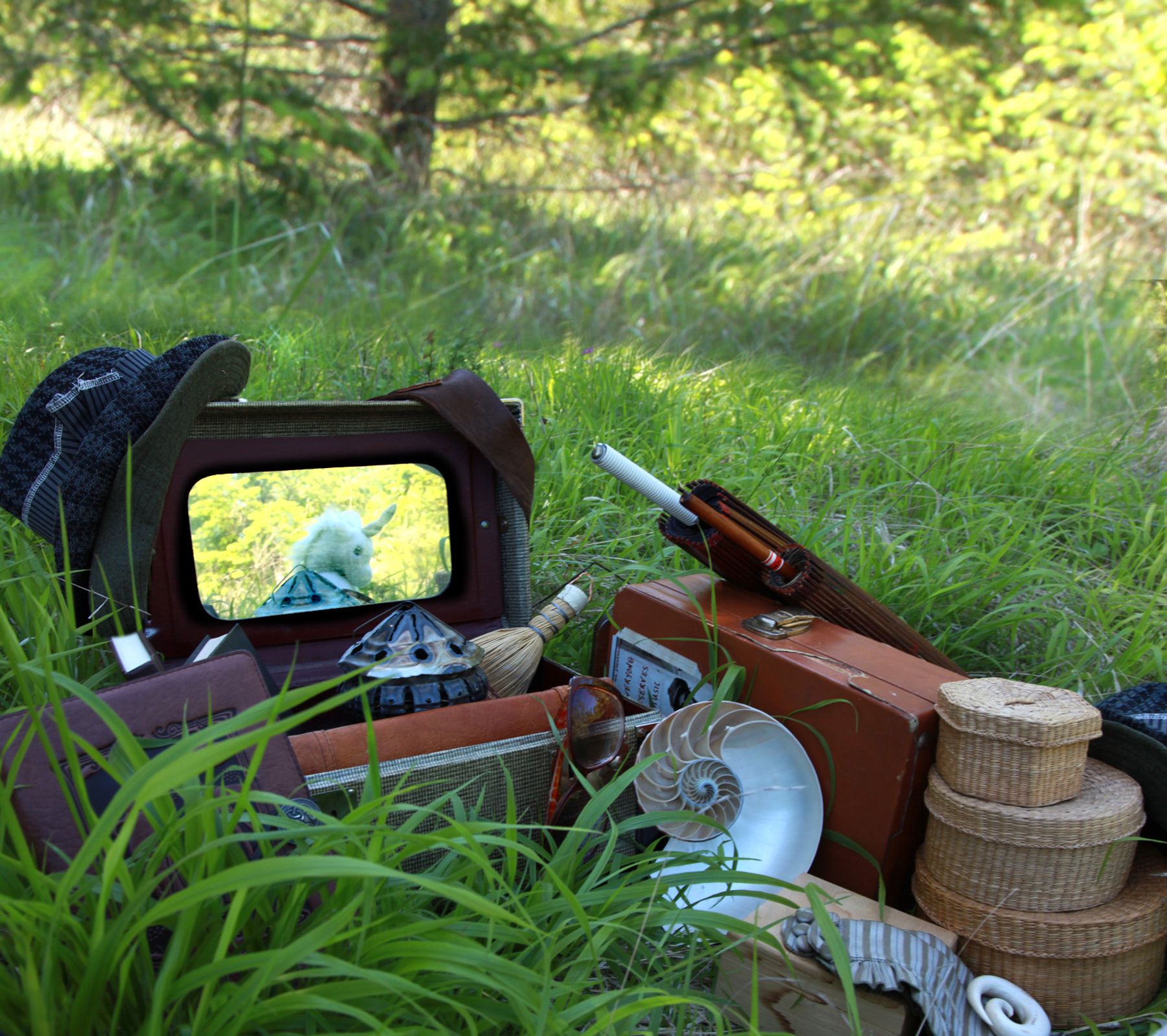 Cassandra Robertson - Bio