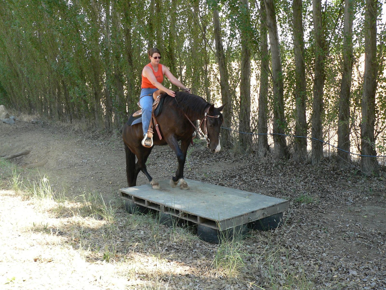 Running I Ranch - Ultimate Trail