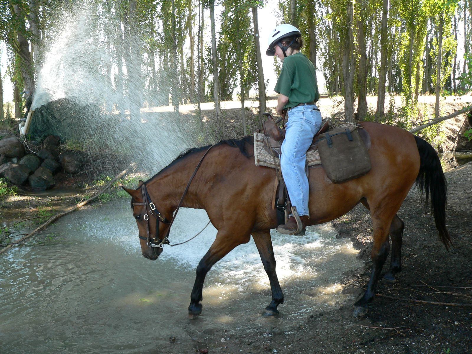Running I Ranch - Ultimate Trail