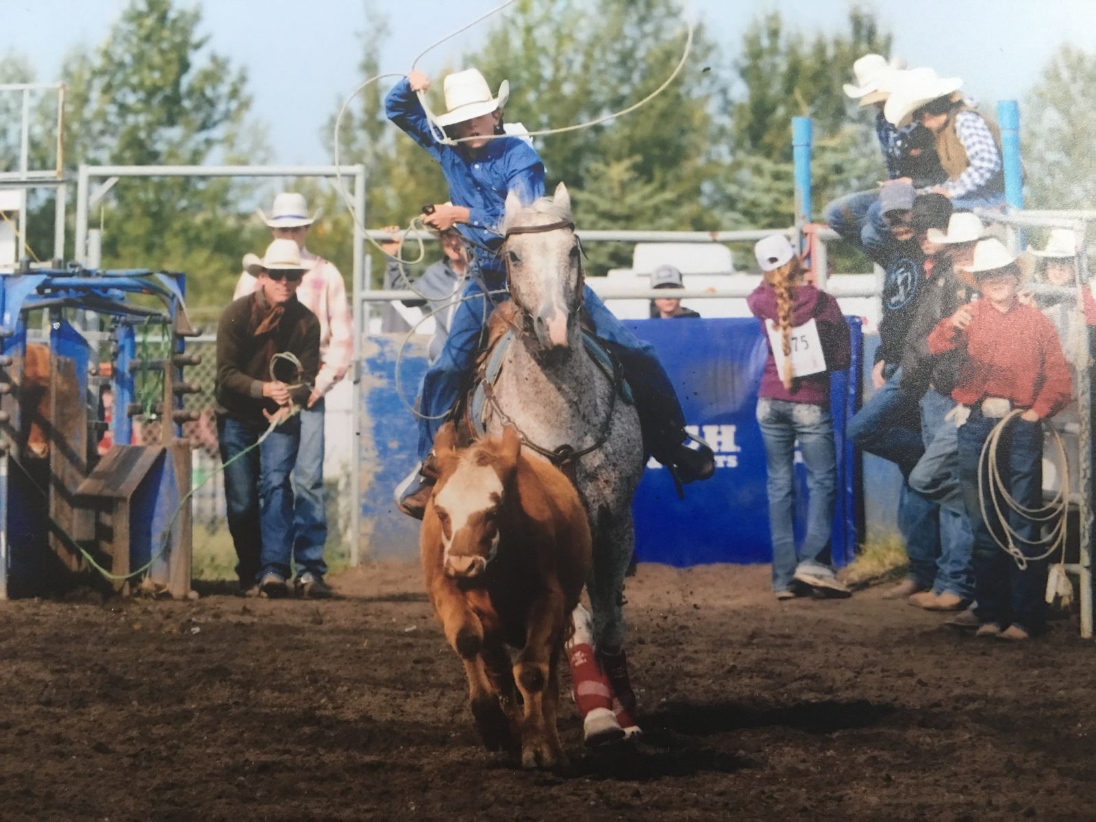 Forever Pine Quarter Horses