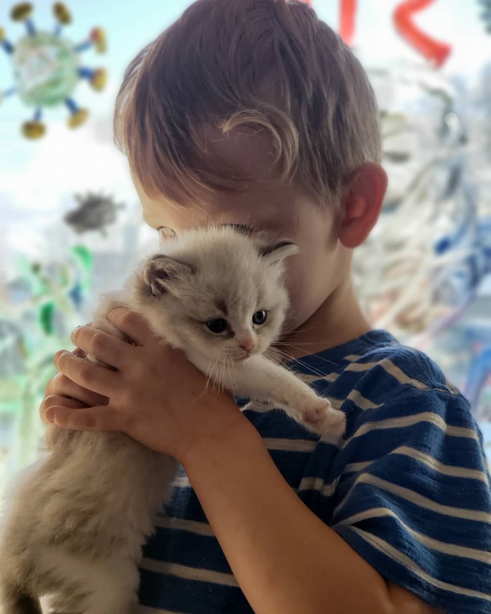 Ohemgee Cattery - breed info