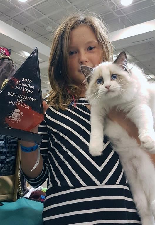 Ohemgee Cattery - Past Kittens