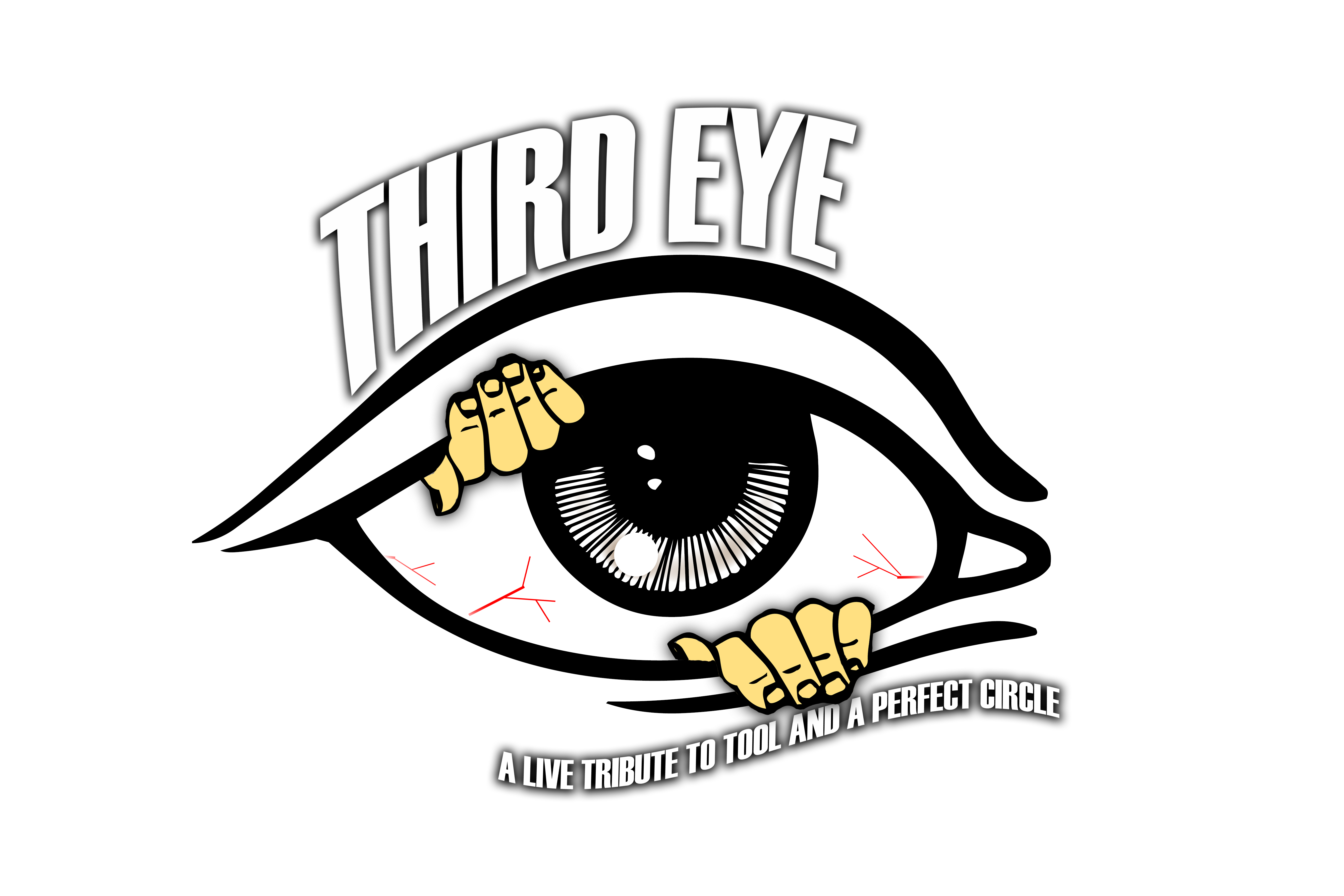 THIRD EYE - TOOL & A Perfect Circle Tribute Band - Video