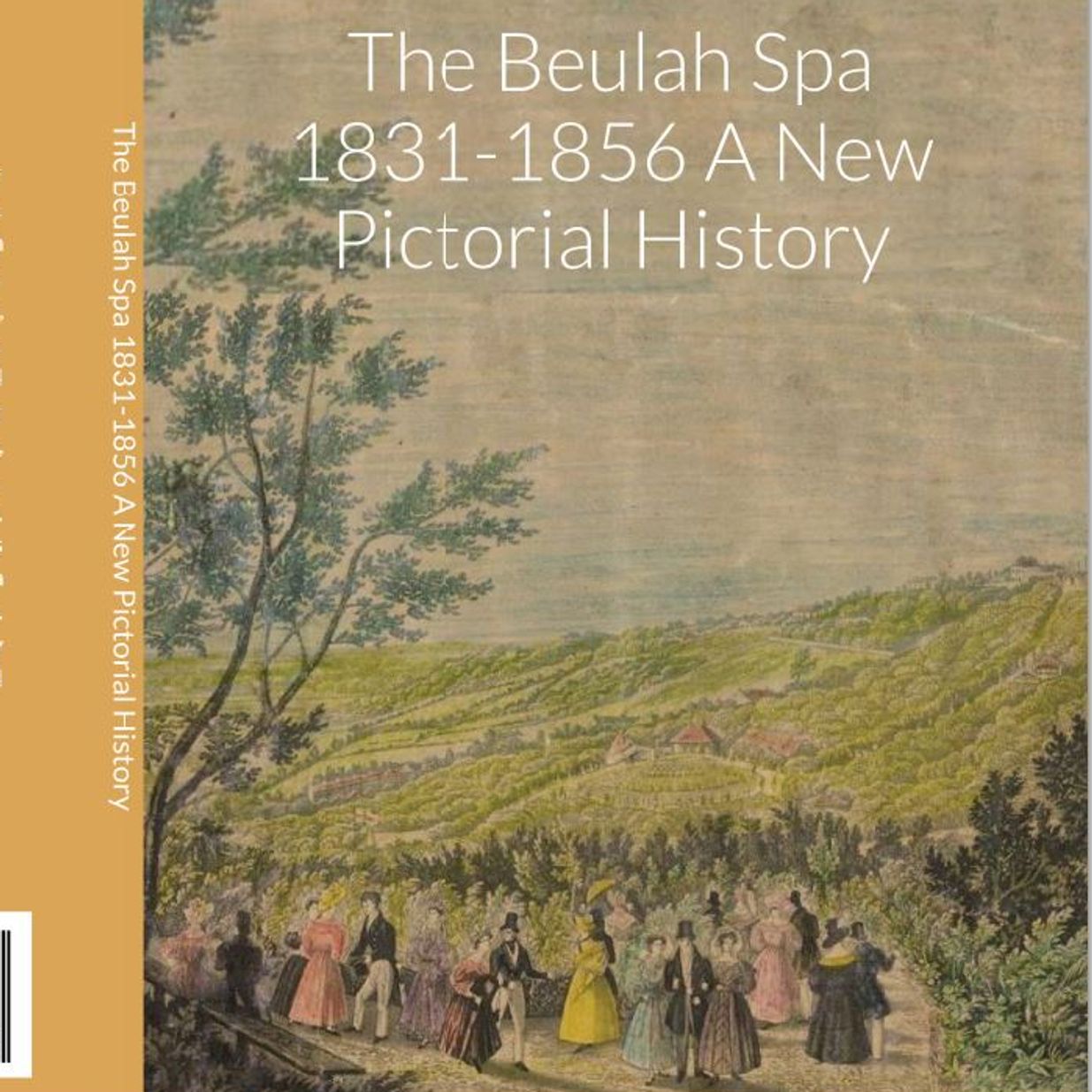 www.chrisshieldsmusic.com - The Beulah Spa History Project