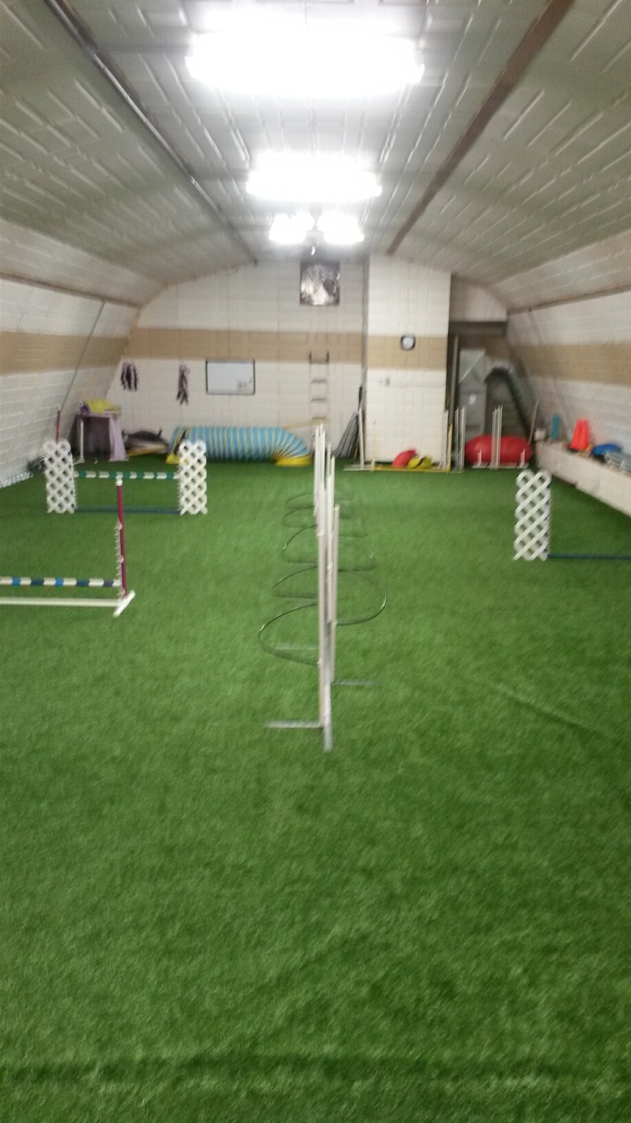 details dog training - Facilities