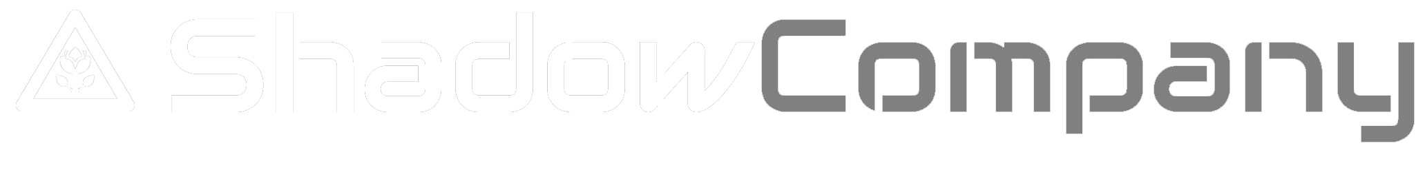 Shadow Company: 20 Years of Art and Design