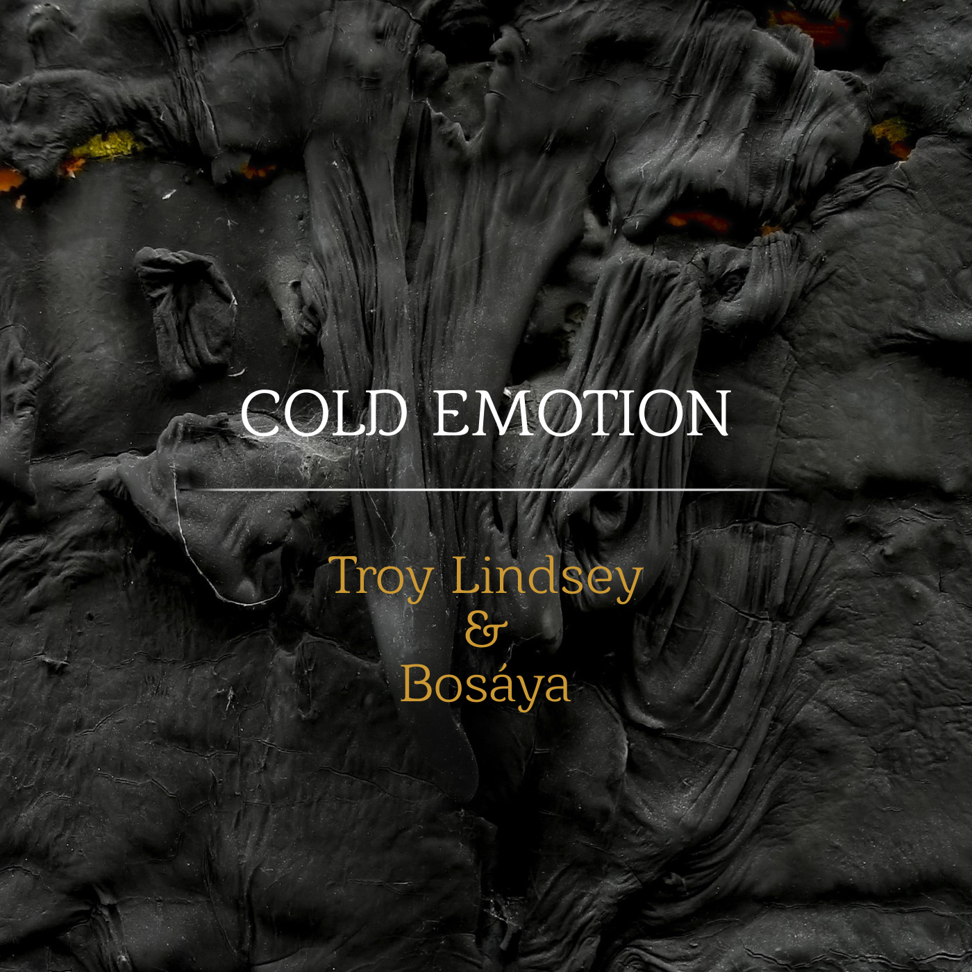 Cold Emotion by Troy Lindsey