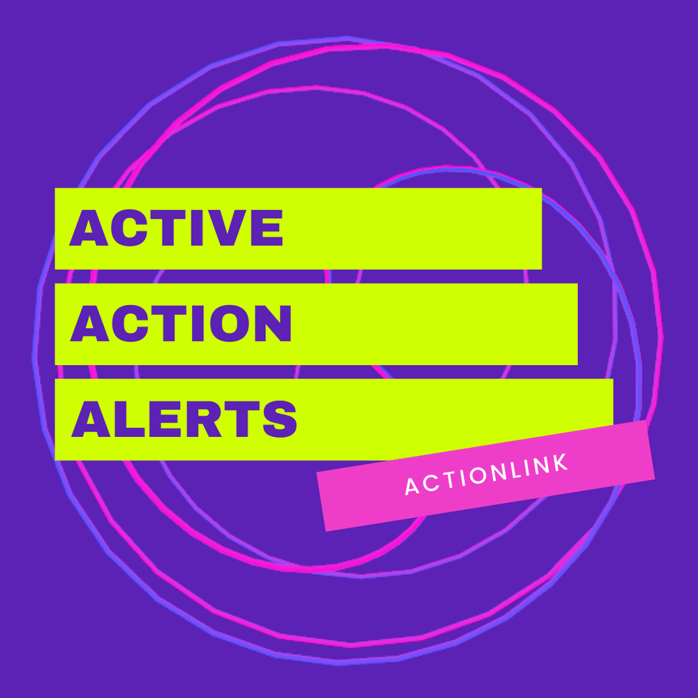 ActionLink: The Center Action Network
