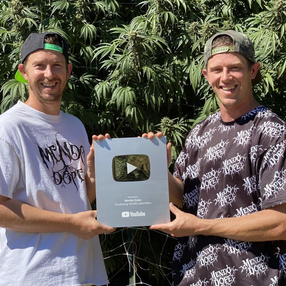 Mendo Dope Farms