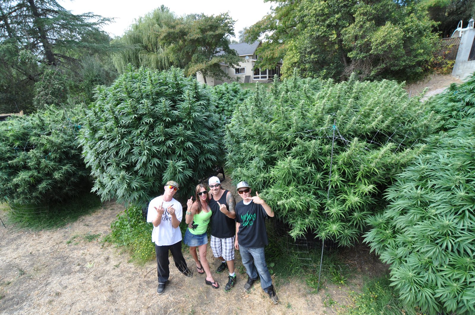 Mendo Dope Farms - How To Grow Class