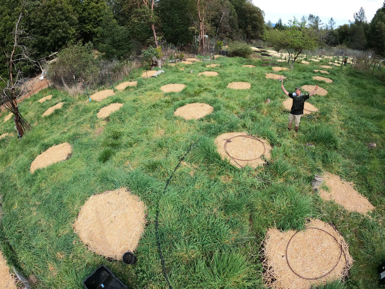 Mendo Dope Farms - How To Grow Class