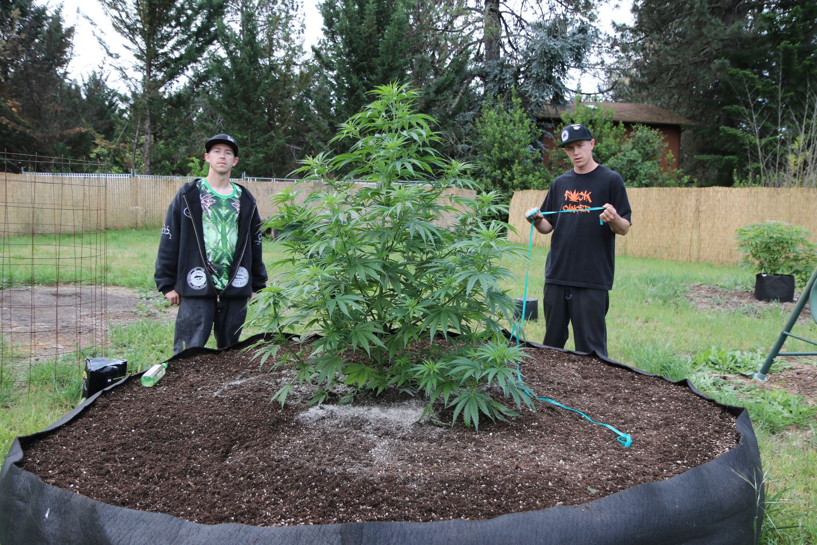 Mendo Dope Farms - How To Grow Class