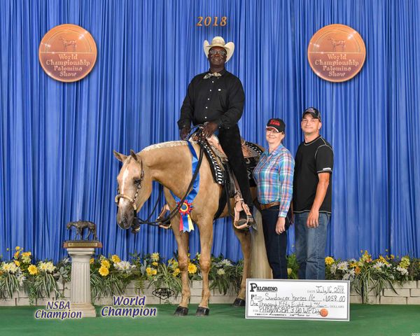 sundancerstables.com - Our Western Show horses